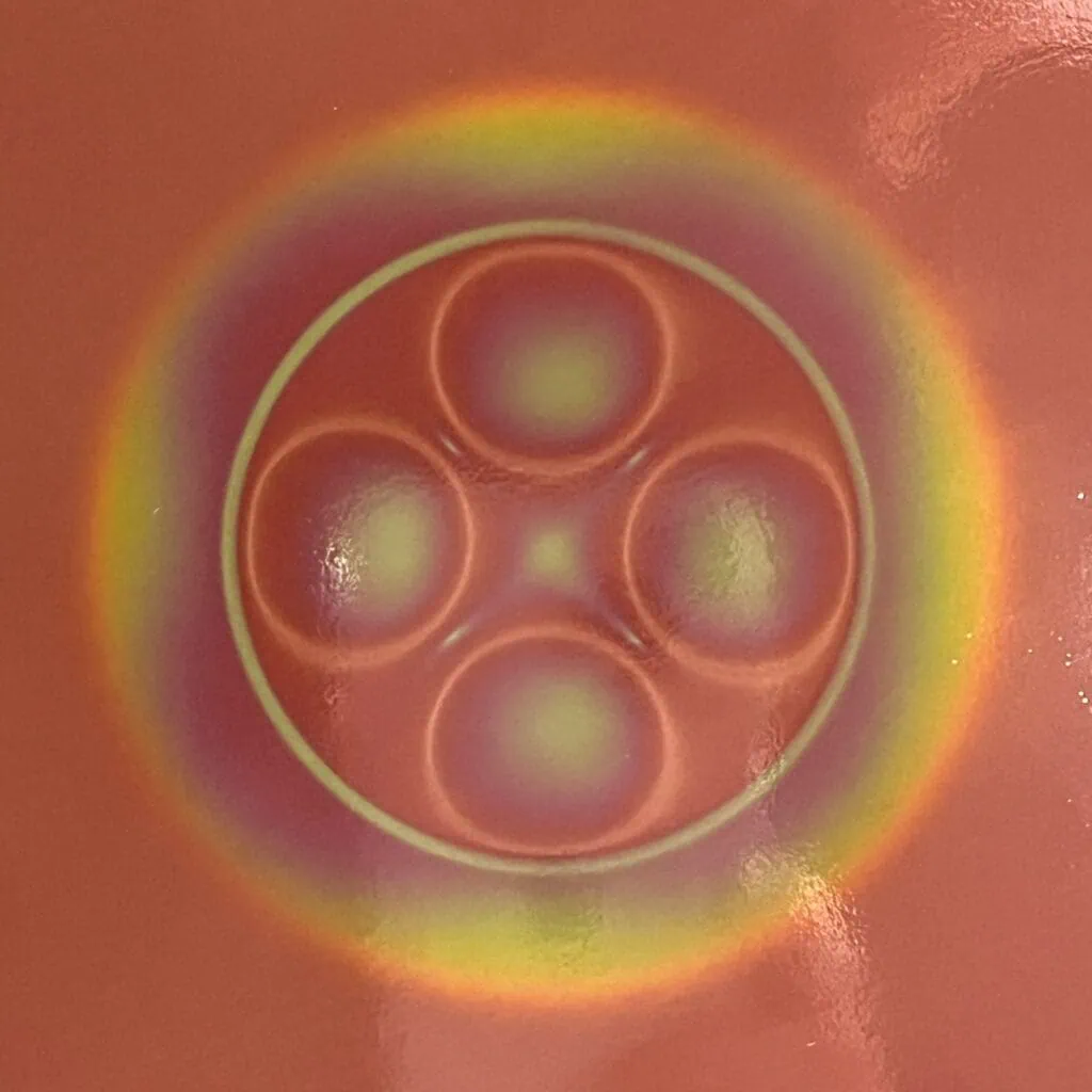 Adams Magnetic Viewing Film Card